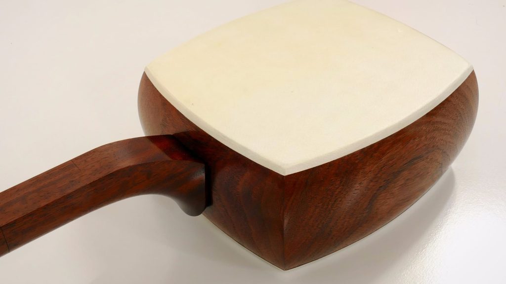 The Beginner's Shamisen - Bachido