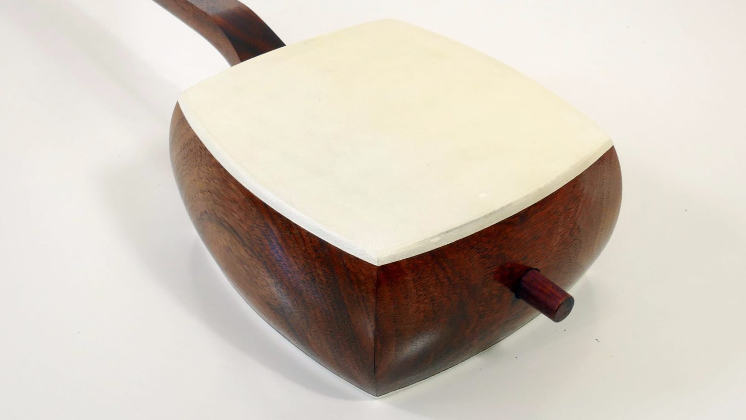 The Beginner's Shamisen - Bachido