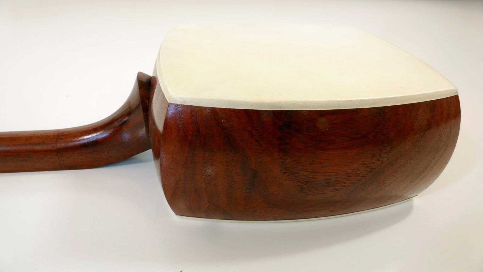 The Beginner's Shamisen - Bachido